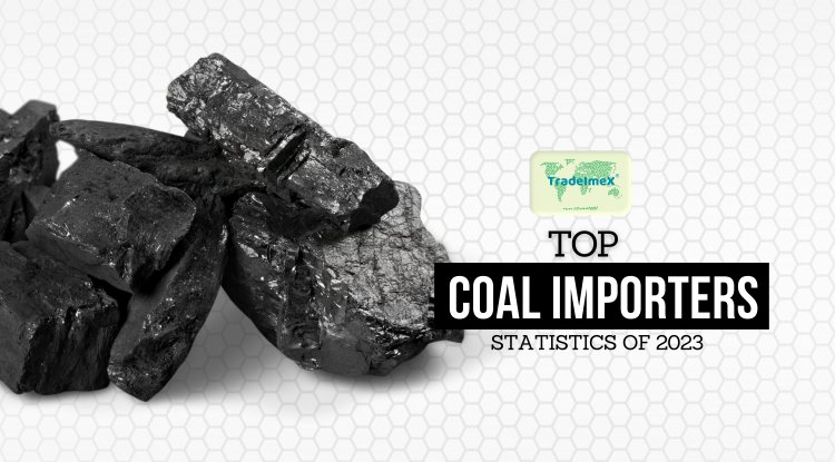 Top Coal Importers & buyers internationally, Coal Import data ...