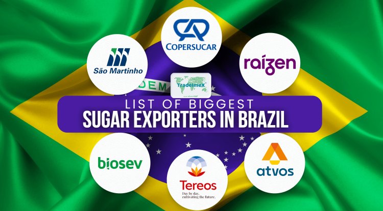 List of 4000+ Brazilian Sugar Suppliers and top Exporters - TradeImeX Blog