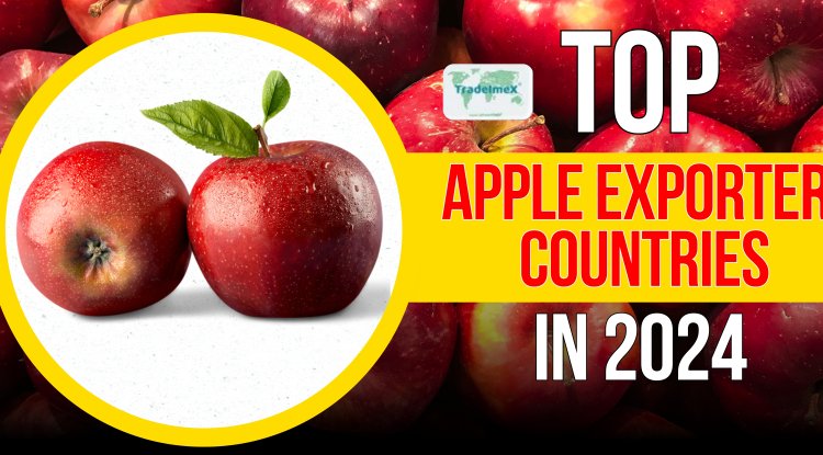 Top 10 Apple Exporter Countries in 2024: Global Apple Export Data ...