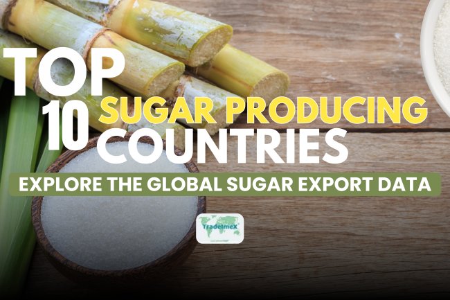 Our Blogs - TradeImeX Blog | Global Trade market information