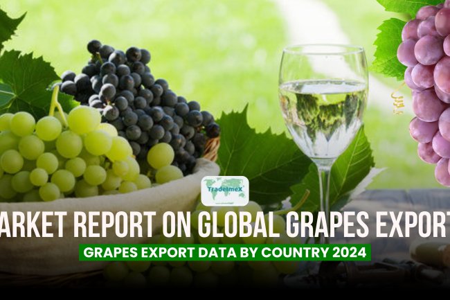 Our Blogs - TradeImeX Blog | Global Trade market information