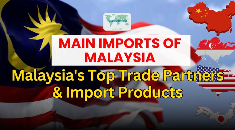 Main imports of Malaysia: Malaysia's Top Trade Partners & Import ...