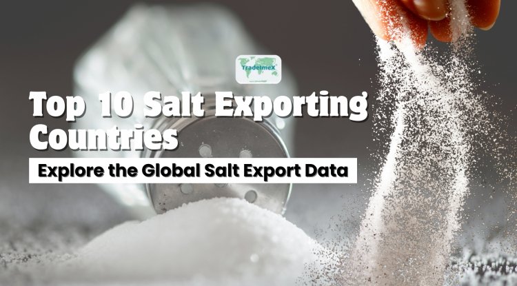 Top 10 Salt Exporting Countries: Explore the Global Salt Export Data ...