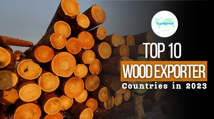 Top 10 Wood Exporting Countries of 2023 - TradeImeX Blog | Global Trade ...